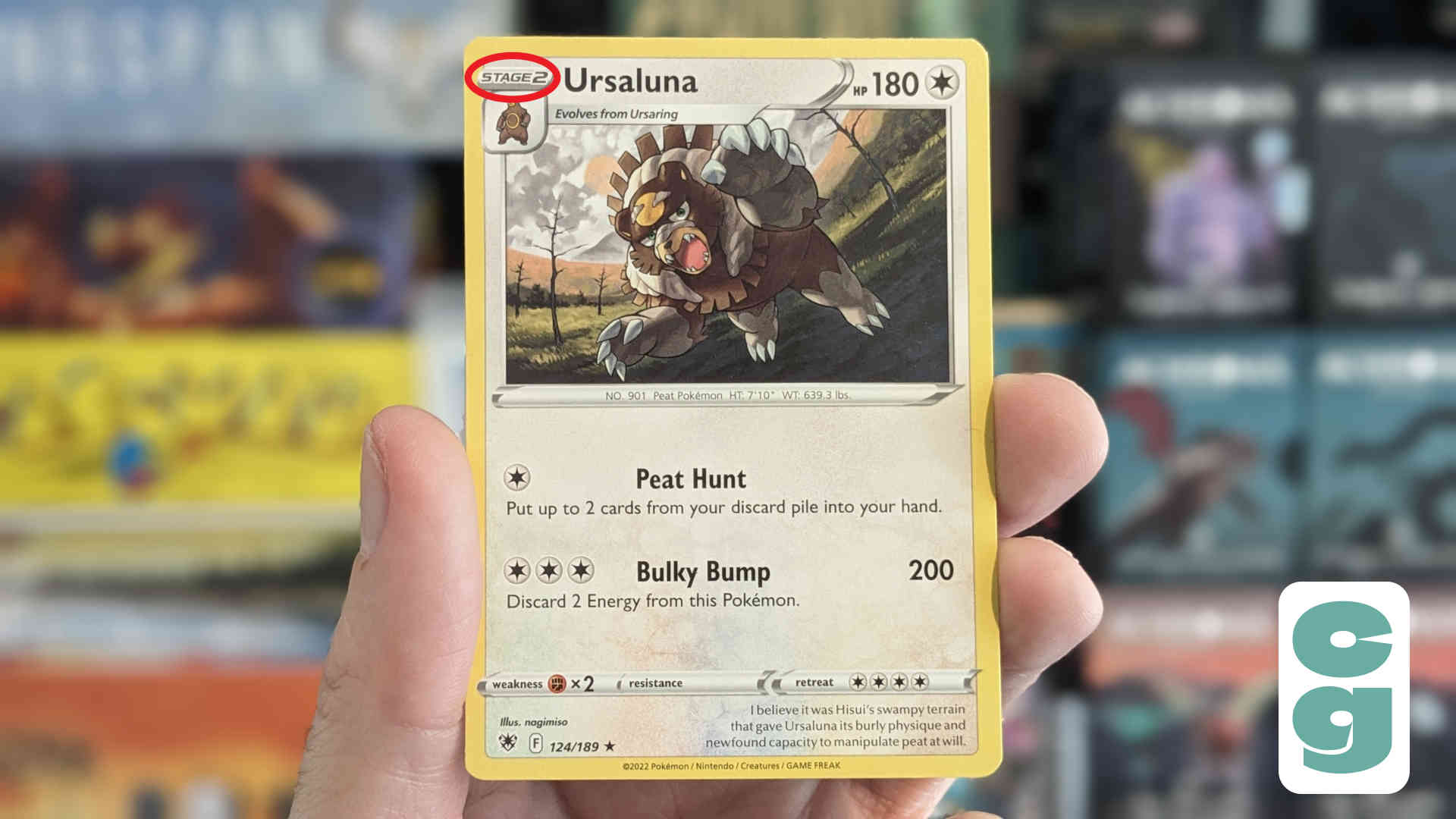 How To Evolve Pokemon In The Pokemon TCG - Card Gamer