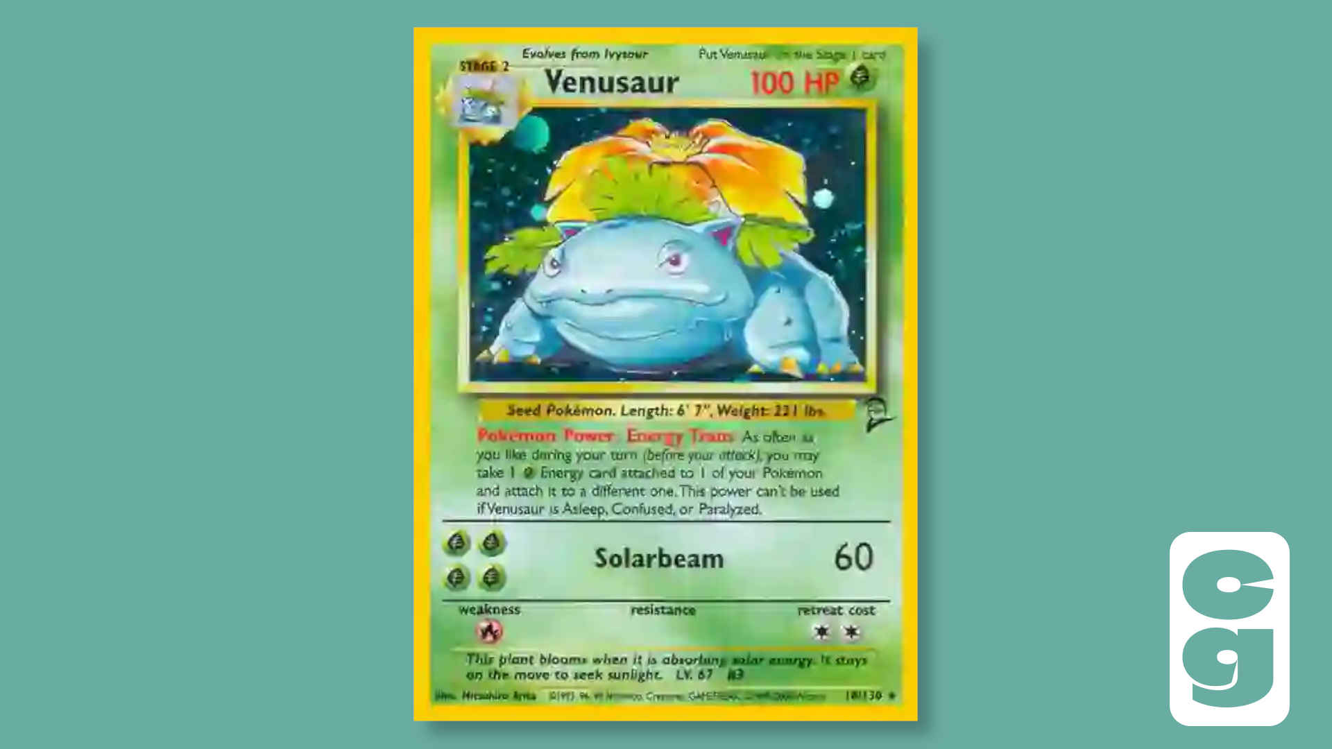 10 Most Valuable Venusaur Pokemon Cards of 2024 - Card Gamer